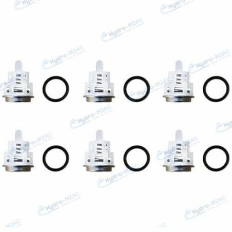 KIT123 - KIT INTERPUMP 123 AVEC 6 CLAPETS ET JOINTS POUR POMPE HAUTE PRESSION | Hydro - M2AC